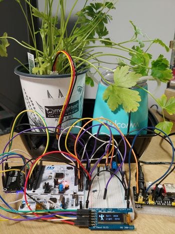 OpenGrow: Building an automated IoT solution for plant care with the ...