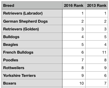 AKC Most Popular Pups. I was able to find a better data set to… | by ...