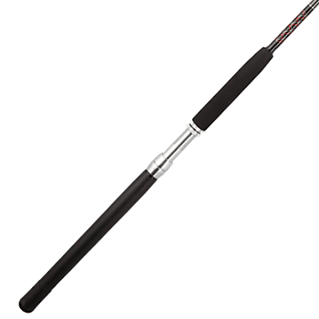 Penn Senator Rod Review | by Reels Association Assoc. | Medium