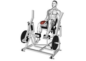 Leg extension iso latéral unilatéral Hammer strenght - Docteur Fitness ...
