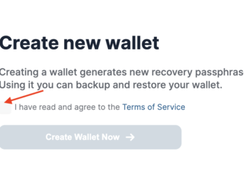 Instructions for creating a SUI wallet Step 4: Tick the box, then select “Create Wallet Now ...