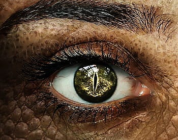 Through Indigenous Eyes: Changing Perspectives Down Under | by ...