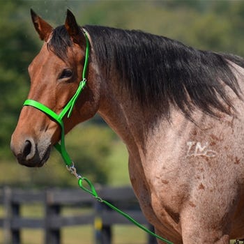 Enhance Your Western Riding Experience with the Lime Green Beta ...