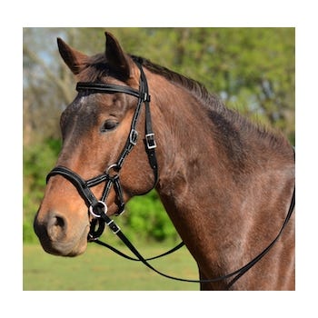 Discover the Advantages of COB SIZE Sidepull Bitless Bridle | Made from ...
