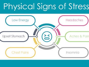 How to spot the signs of stress? | by bioandbrainhealth | Medium