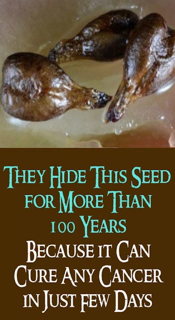 This Seed Can Cure Cancer ! - wellnessmgz4 - Medium