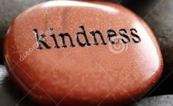 Values: - shanza Imran - Medium