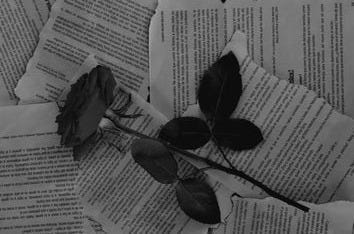 A List of Things I Find Fascinating | by ivi | Medium