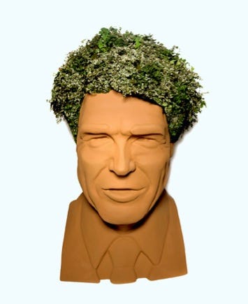 Rick Perry “Chia Head” as Tall as Real Rick Perry | by The Awl | The ...