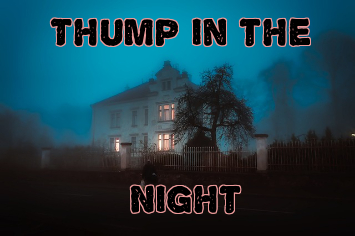 Thump in the Night. When a noise stirs you awake | by Brenda Arledge ...