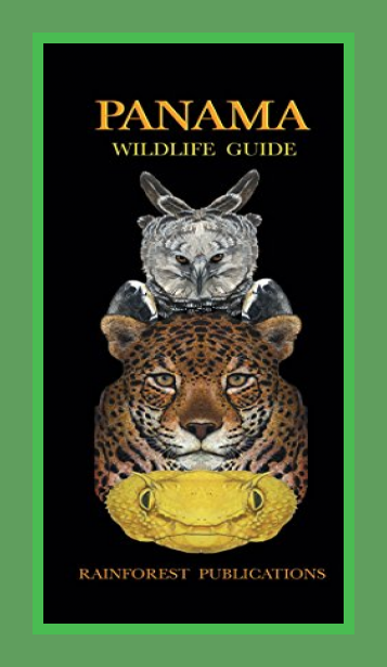 Rainforest Publications: Panama General Wildlife Guide (Laminated ...