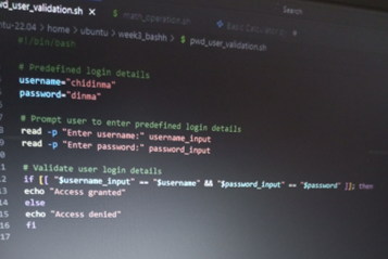 Bash Script. Week 3 Assignment Overview | by Chidinma Ndubuisi | Medium