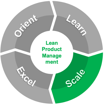 Lean Product Management: Scale Learnings Across the Portfolio | by Rich ...