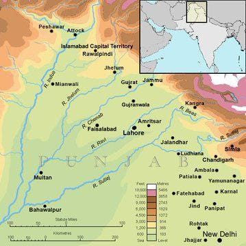"The Historical Legacy of the Johiya Rajputs: Insights from Ancient ...