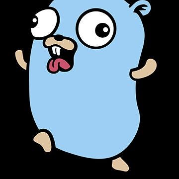 Banishing the Ghosts in Your Go Code: A Friendly Guide to Eliminating ...