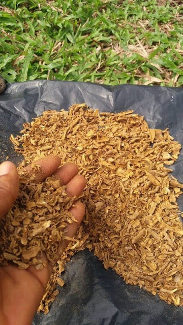 COMPRAR IBOGA HCL e IBOGAINE TA ONLINE | by Chris Erikson | Medium