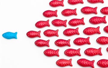 Becoming an Influencer: How to get there and how to stay there | by ...