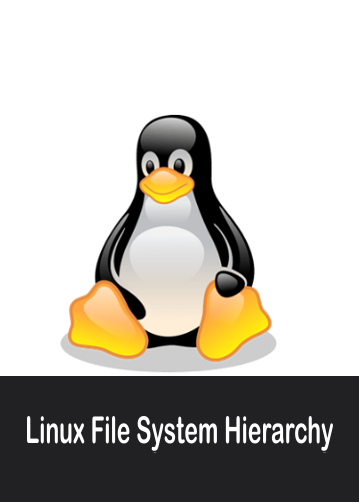 Linux File System Hierarchy. The Linux Operating System is robust… | by ...