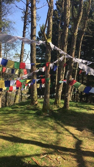 Belief.. I have spent my life surrounded by… | by Abi Alexander | Medium