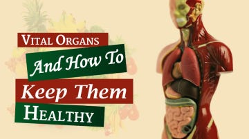 Top 5 Easy Ways to Care for Your Vital Organs — Healthy Tips ...