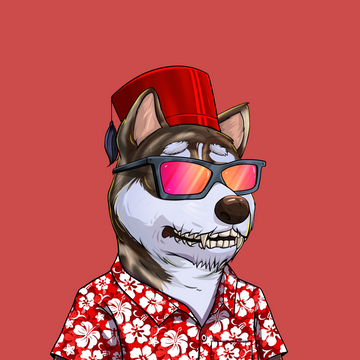 Shibe Society project. With the Shibe Society, where your… | by ...