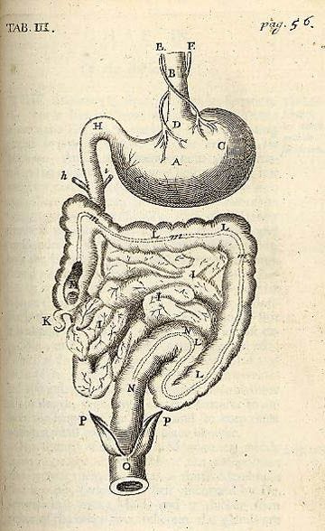 Your Gut Knows Before You Do: How the Body Stores Trauma, Truth, and Power | by Karen Covington ...