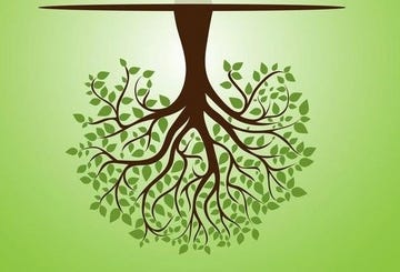 Binary Search Tree: Basics to Advanced | by Salwa S | Medium