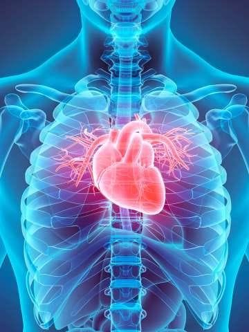 Cardiothoracic in Tirunelveli. In severe cases of heart and lung… | by ...