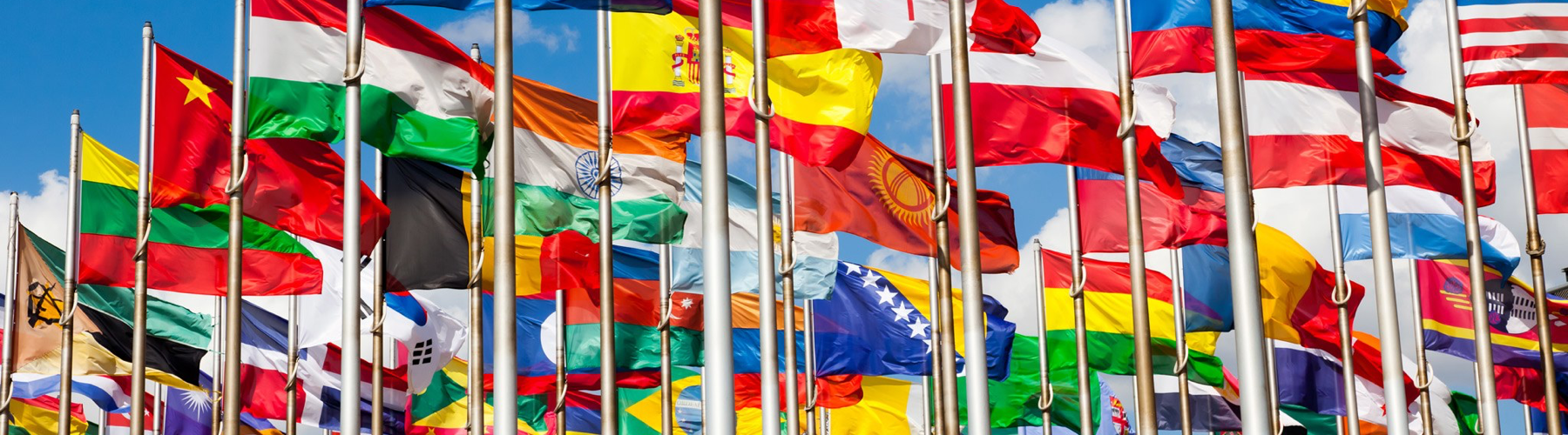 One World Flag
