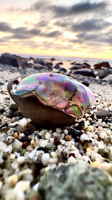 Fitting In VS Belonging: Don’t Abandon Yourself | by Gregg Berman | Medium