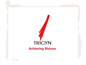 Trigyn Share Price gained 9% Intraday Today at NSE | by Dynamic Levels ...