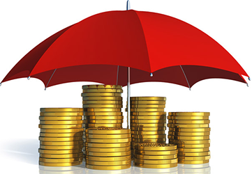 FIDELITY GUARANTEE INSURANCE. Hello, | by Pinnacle Risk Advisory ...