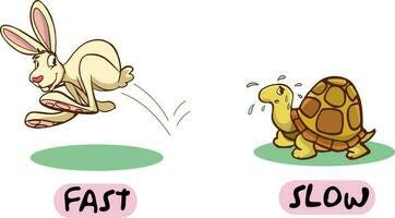 Fast and Slow Pointer Technique: A Simple Tool for Solving Problems ...