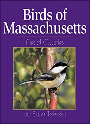 [P.D.F Download] Birds of Massachusetts Field Guide Full-Acces | by ...