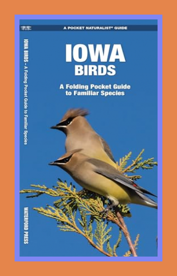 James Kavanagh Waterford Press ~ Iowa Birds: A Folding Pocket Guide to ...
