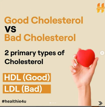Mumbai’s Best Solutions for Cholesterol Management. - healthie4u - Medium