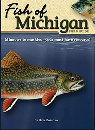 READ/DOWNLOAD%) Fish of Michigan Field Guide (Fish Identification ...