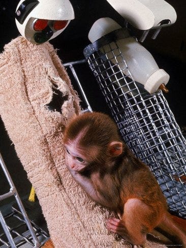 Infants, Monkeys, Love and AI. From emotional disorders to artificial ...