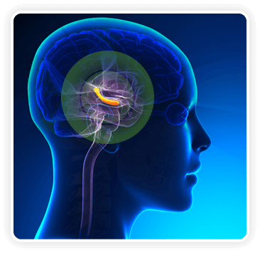 Neuroscience Meets Wealth: The Ultimate Brain Wave Ritual for ...