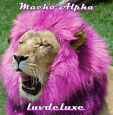 Macho alpha | by Luvdeluxe | Medium