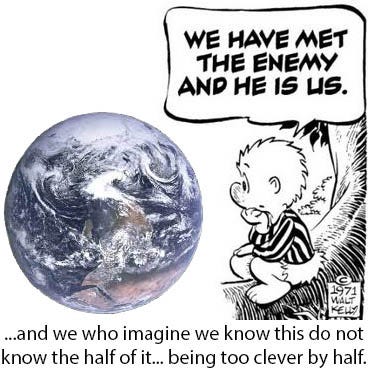 2+2=5. Only modern humans know deepities | by Eric Lee | Medium