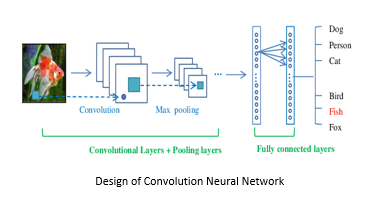 Convolution Neural Network. For Beginners | by Shreenidhi Sudhakar ...