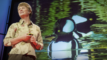 Bio mimicry technology, this technology is genuinely integral for human ...