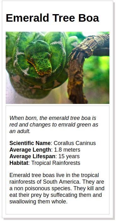 Animal Trading Card Project. In my Front End Web Developer… | by ...