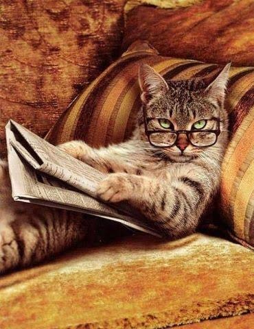 Sobre la anti-naturaleza de la lectura y la escritura | by Actumlogos | Medium