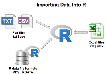 Importing Data to R: The First Step Towards Your Data Science Project ...