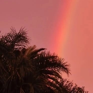 Feelings A moonless night, The hours move; My feelings connected with my heart dancing, My inner ...