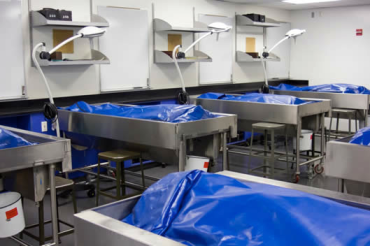 Cadavers, Connection, and Coping. In an article called “Learning ...