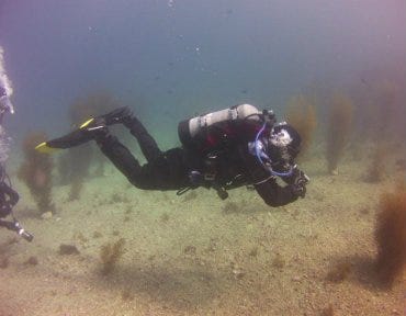An Introduction to Muck Diving. People don’t usually associate “muck ...