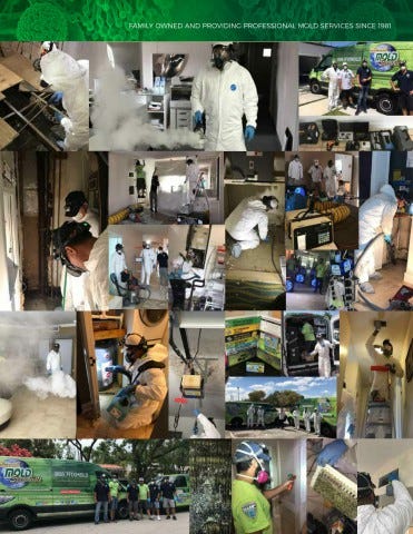 Mold Assessment Miami Beach. Do you suspect mold? Have it properly ...